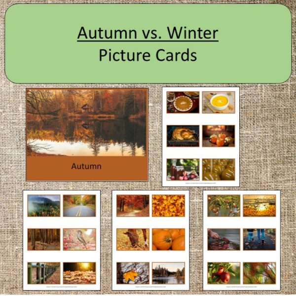 Autumn vs Winter Season Work Montessori Fall | Made By Teachers