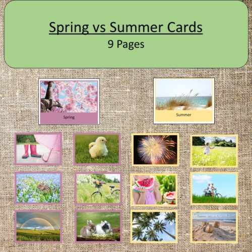Spring vs Summer Cards Montessori Seasonal Work Seasons Preschool ...