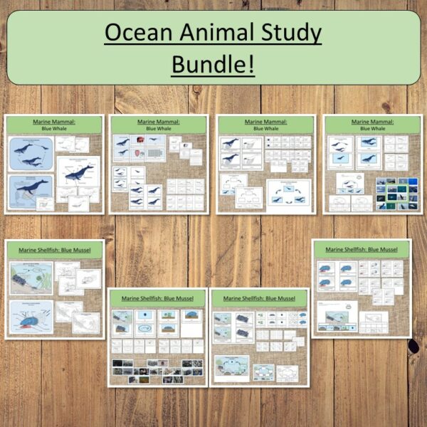 Marine Animal Study Ocean Study Bundle Montessori | Made By Teachers