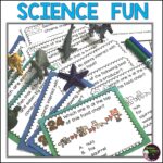 Food Chains and Food Webs Task Cards | Made By Teachers