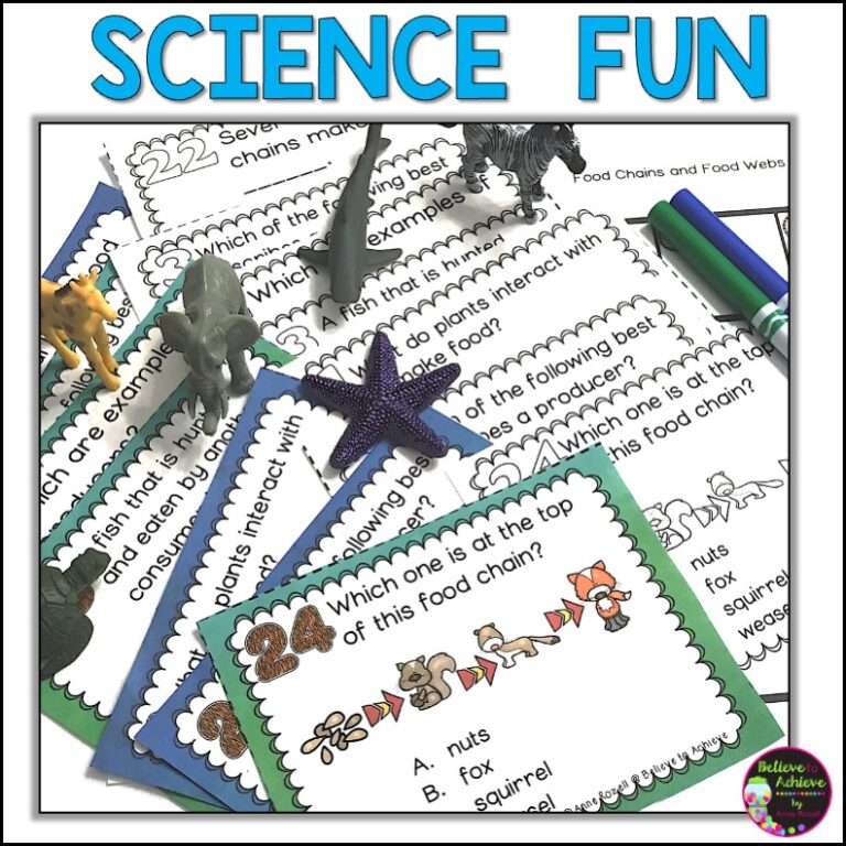 Food Chains and Food Webs Task Cards | Made By Teachers