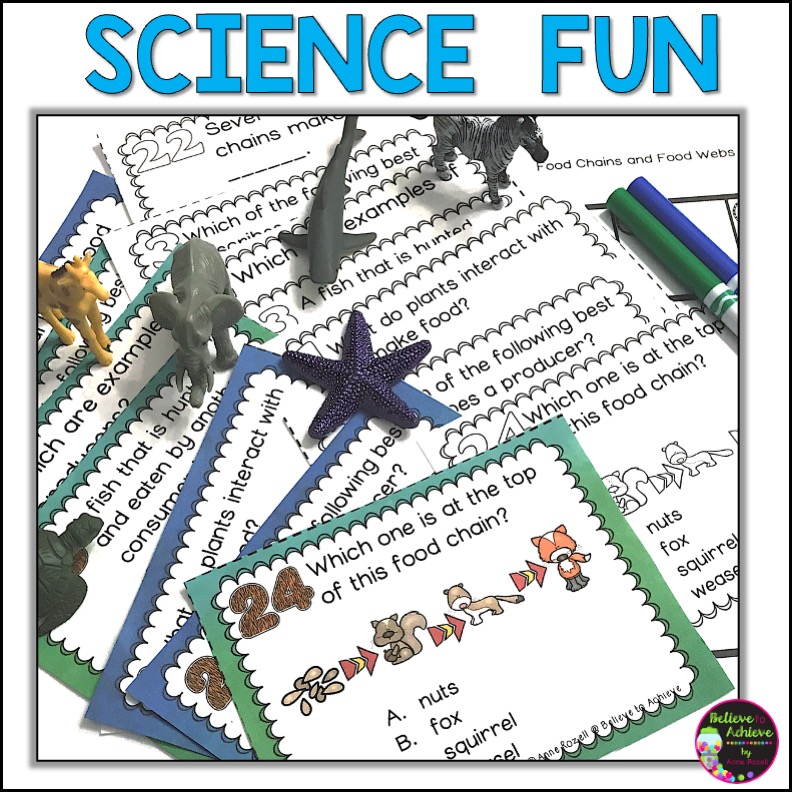 Food Chains and Food Webs Task Cards | Made By Teachers