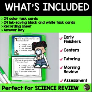 Food Chains and Food Webs Task Cards | Made By Teachers