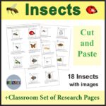 Insects Cut and Paste Worksheets, Bugs and Insects Research Template ...