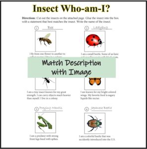 Insects Cut and Paste Worksheets, Bugs and Insects Research Template ...