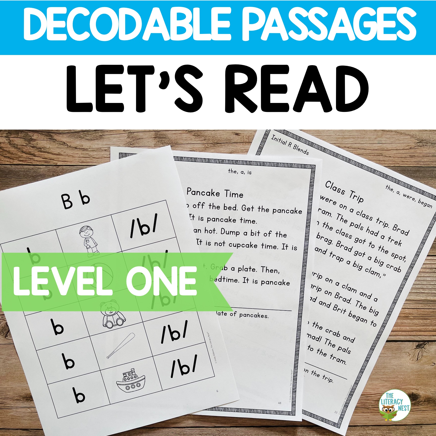 Let's Read Decodable Text and Passages for Orton-Gillingham Lessons ...