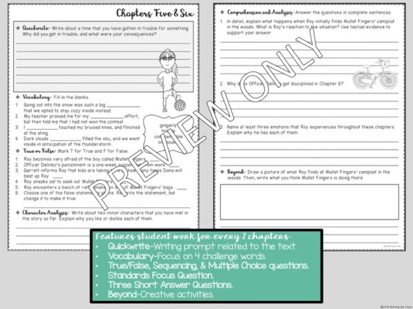 Hoot Novel Study Unit | Comprehension and Vocabulary with Activities ...