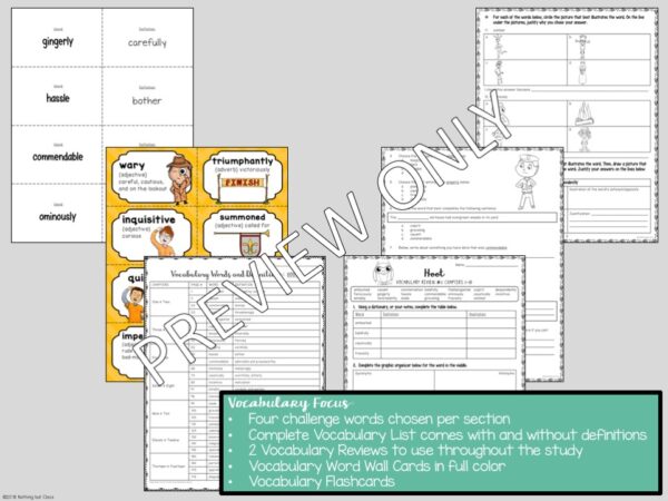 Hoot Novel Study Unit | Comprehension and Vocabulary with Activities ...