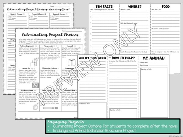 Hoot Novel Study Unit | Comprehension and Vocabulary with Activities ...