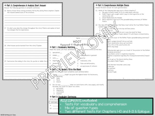 Hoot Novel Study Unit | Comprehension and Vocabulary with Activities ...