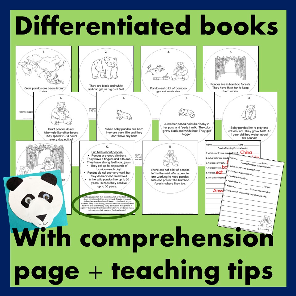Panda Bear Craft | Book | Reading Comprehension | Bulletin Board Kit ...