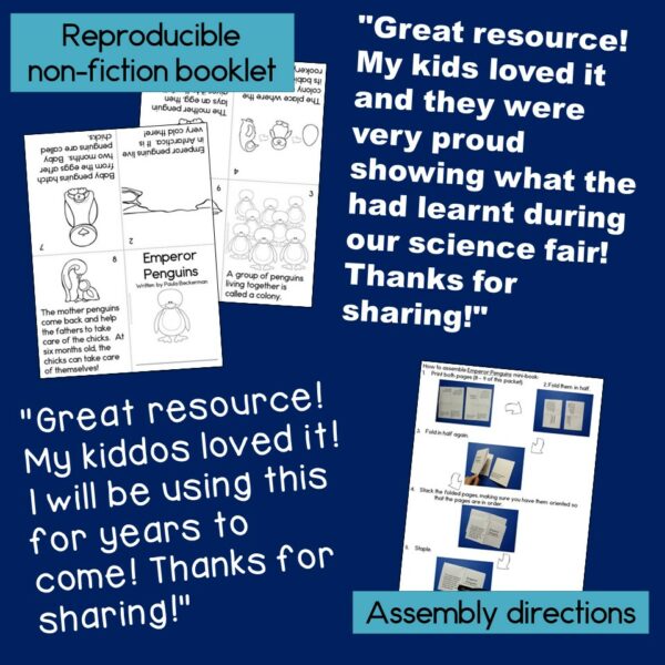 Penguin Life Cycle Craft, Guided Reading Book, Vocabulary and Bulletin ...