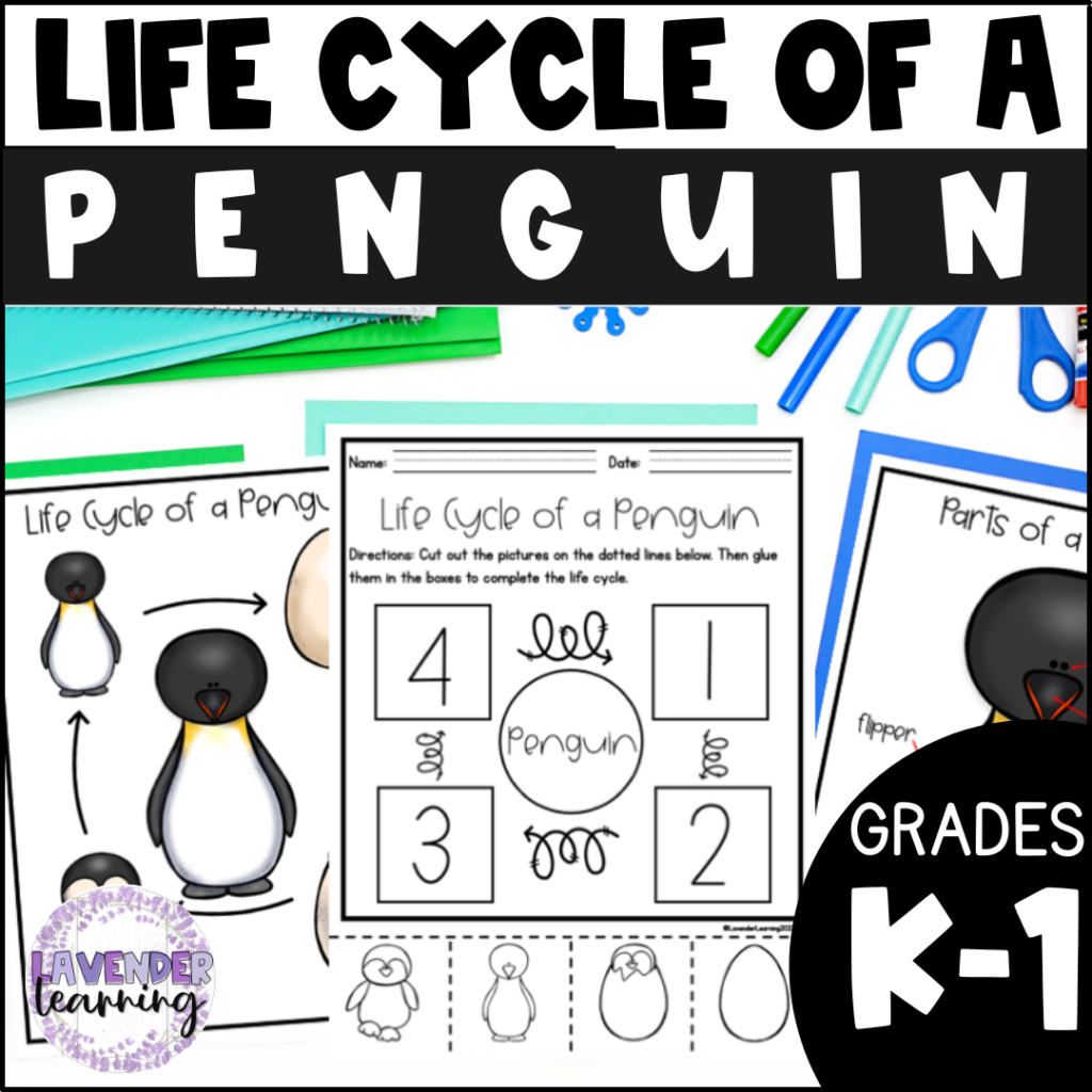 Life Cycle of a Penguin Activities, Worksheets, Booklet - Penguin Life ...