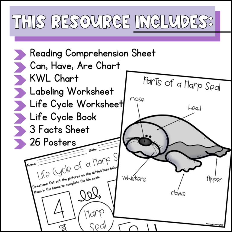 Life Cycle of a Harp Seal Activities, Worksheets, Booklet - Harp Seal ...