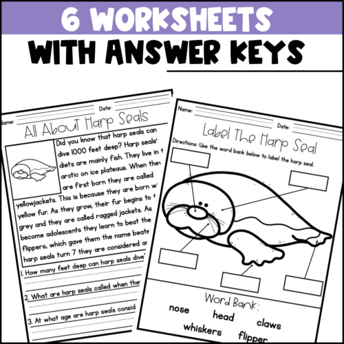 Life Cycle of a Harp Seal Activities, Worksheets, Booklet - Harp Seal ...