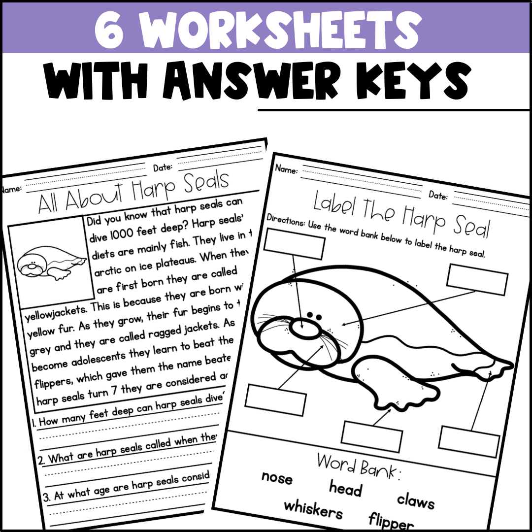 Life Cycle of a Harp Seal Activities, Worksheets, Booklet - Harp Seal ...