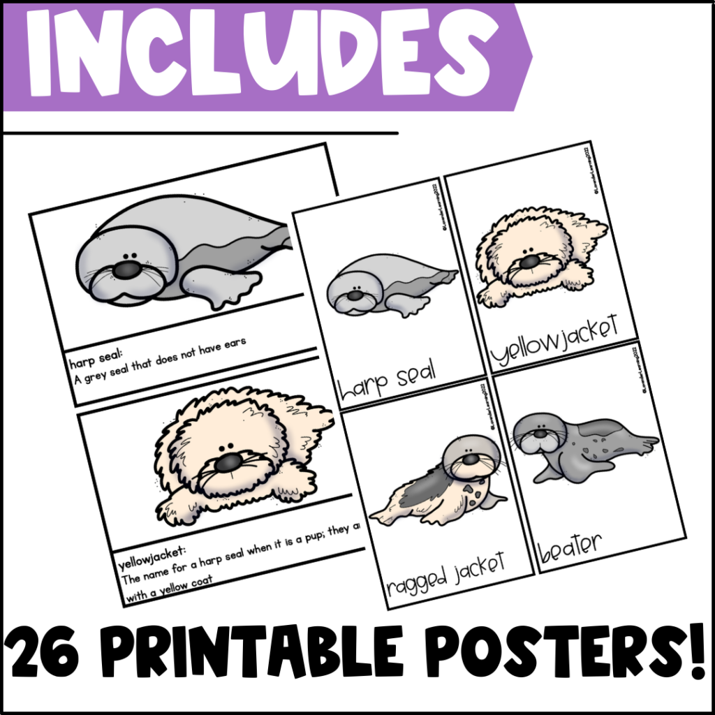 Life Cycle of a Harp Seal Activities, Worksheets, Booklet - Harp Seal ...