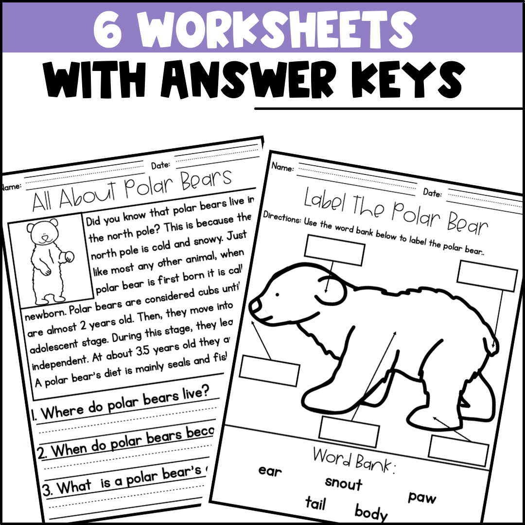 Life Cycle of a Polar Bear Activities, Worksheets, Book - Polar Bear ...