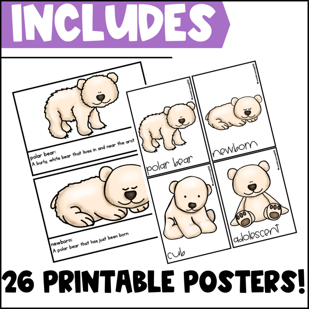 Life Cycle of a Polar Bear Activities, Worksheets, Book - Polar Bear ...