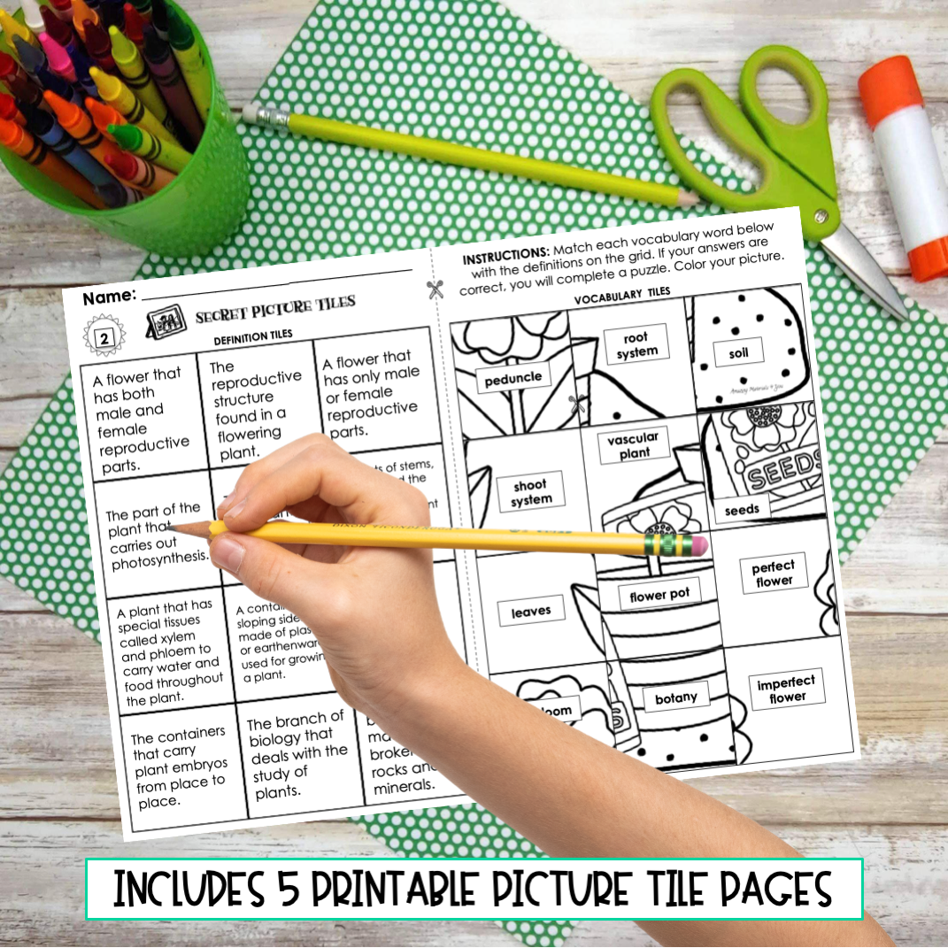 Plants Flowers Seeds | Secret Picture Tile Puzzles | Made By Teachers