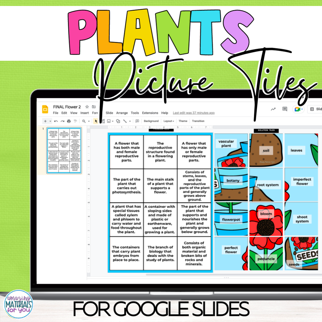 Plants Flowers Seeds | Secret Picture Tile Puzzles | Made By Teachers