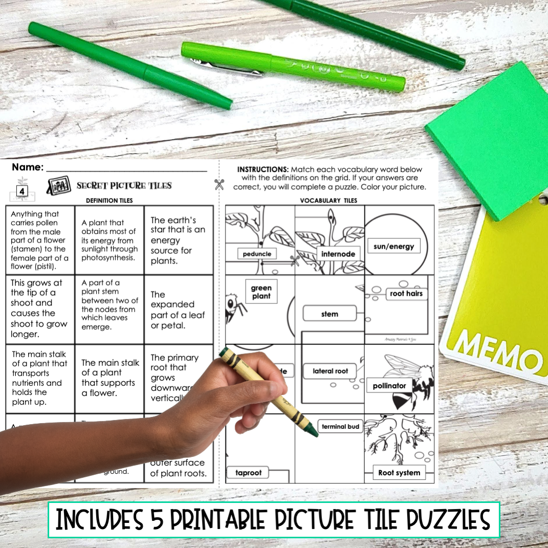 Plants Flowers Seeds | Secret Picture Tile Puzzles | Made By Teachers