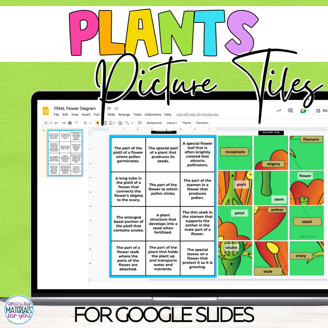 Plants Flowers Seeds | Secret Picture Tile Puzzles | Made By Teachers