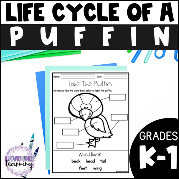 Life Cycle of a Puffin Activities, Worksheets, Booklet - Puffin Life ...