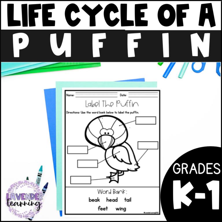 Life Cycle of a Puffin Activities, Worksheets, Booklet - Puffin Life ...