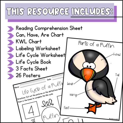 Life Cycle of a Puffin Activities, Worksheets, Booklet - Puffin Life ...