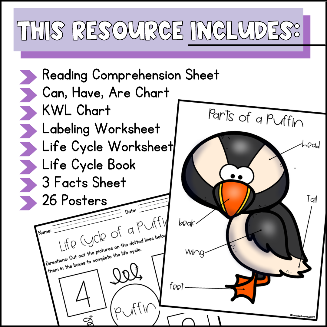 Life Cycle of a Puffin Activities, Worksheets, Booklet - Puffin Life ...