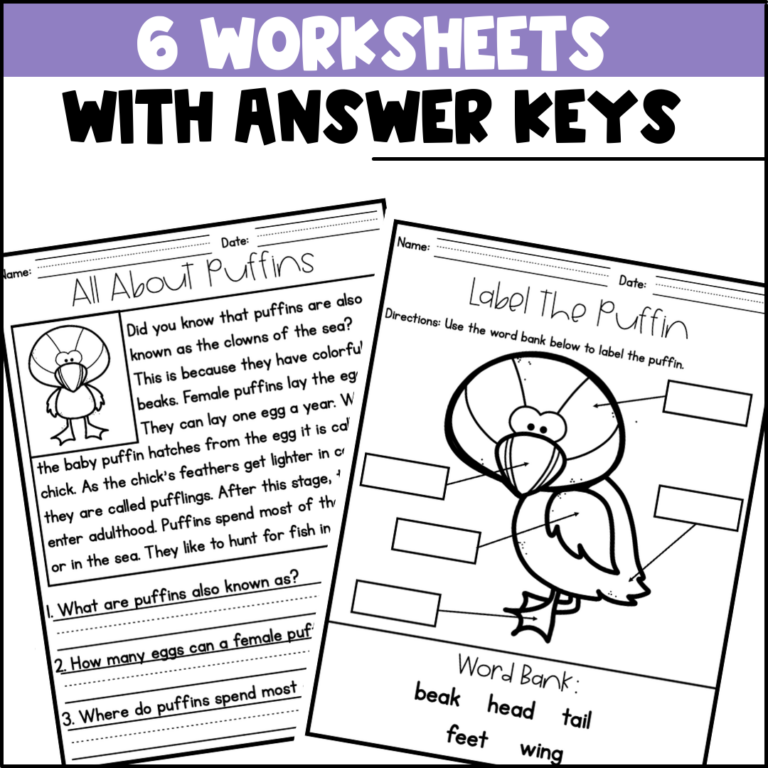 Life Cycle of a Puffin Activities, Worksheets, Booklet - Puffin Life ...
