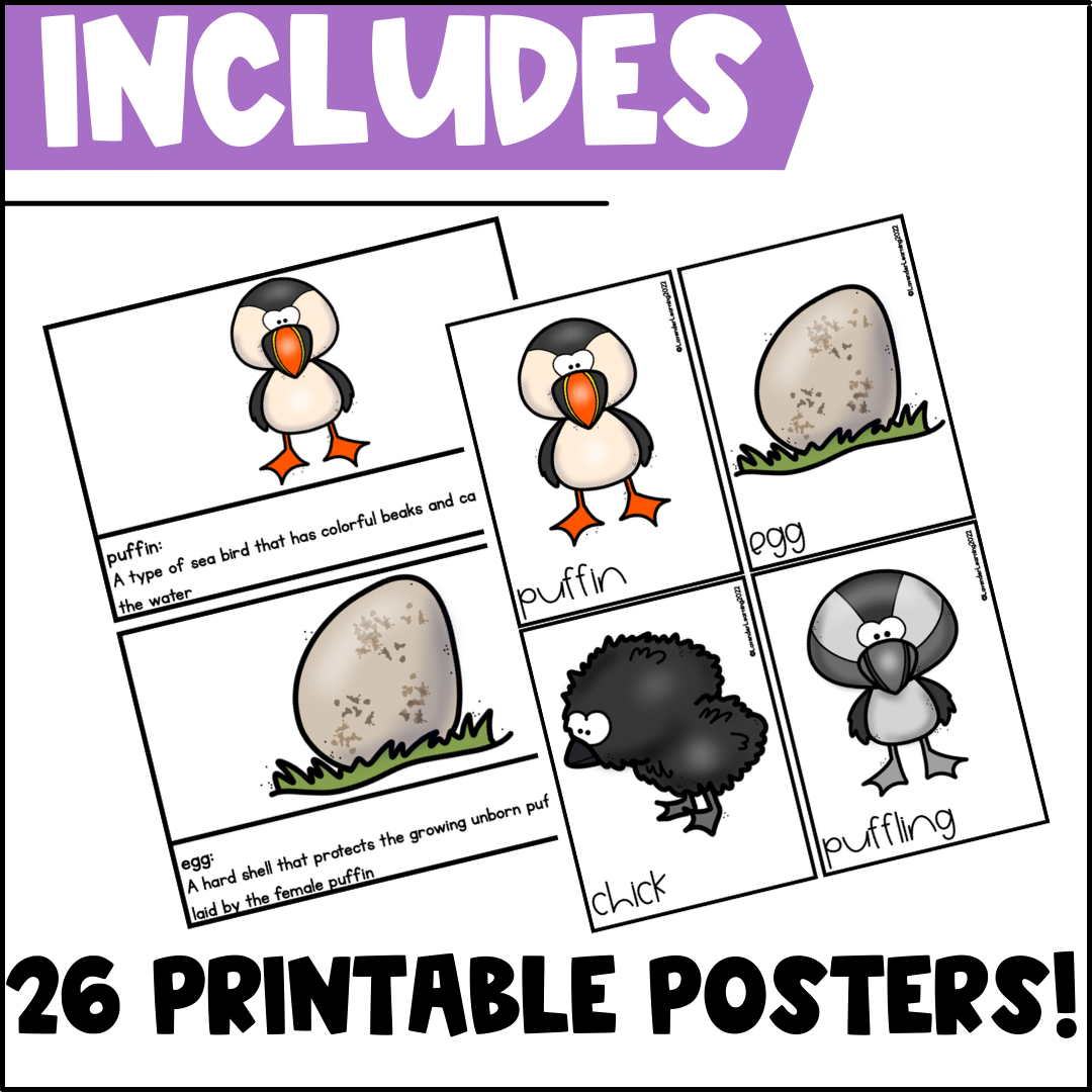 Life Cycle of a Puffin Activities, Worksheets, Booklet - Puffin Life ...