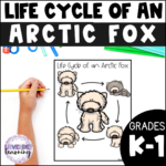 Life Cycle of an Arctic Fox Activities, Worksheets, Book - Arctic Fox ...