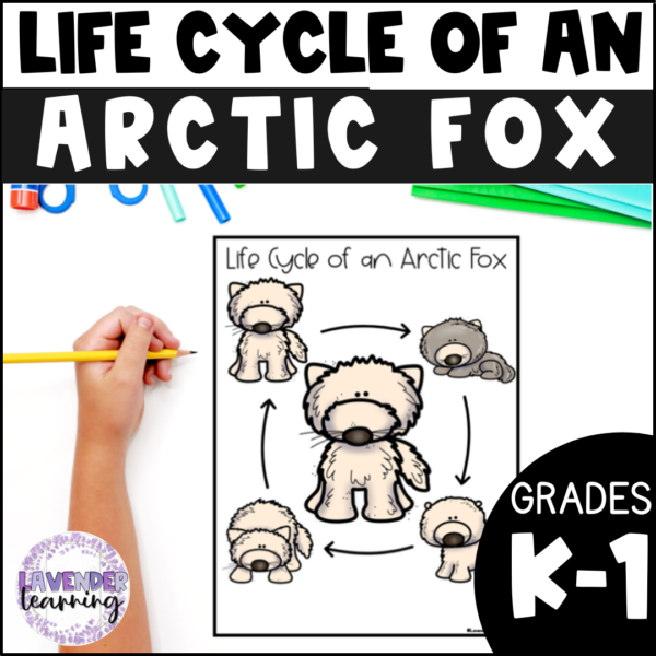 Life Cycle of an Arctic Fox Activities, Worksheets, Book - Arctic Fox ...