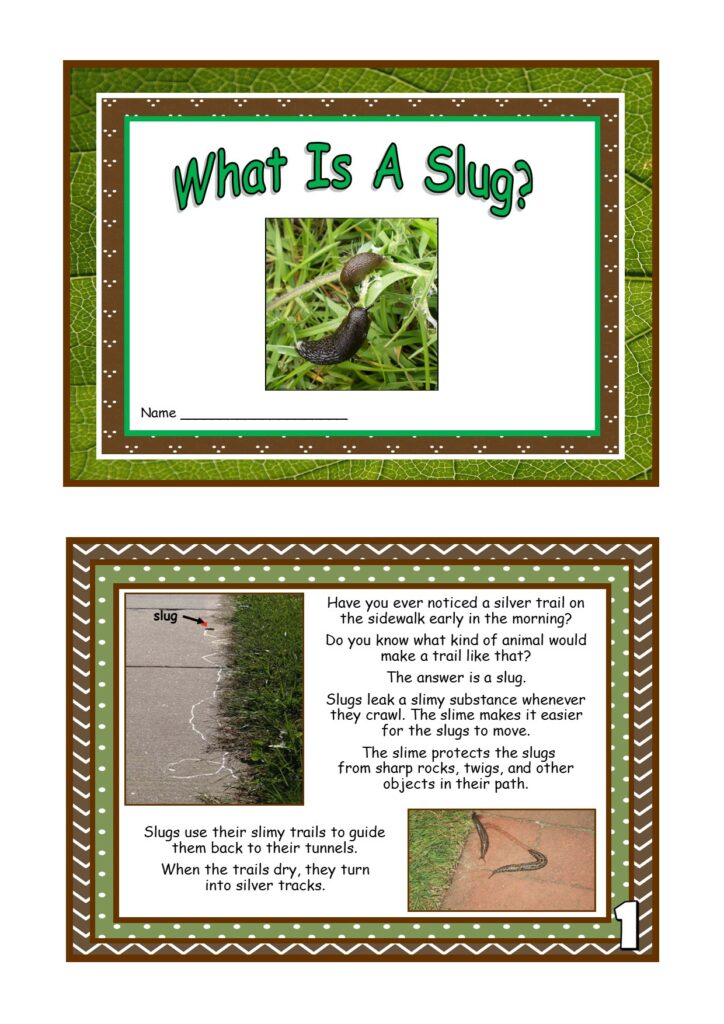 Slugs in Love Main Idea Retell Summarize Vocabulary Slug Facts | Made ...