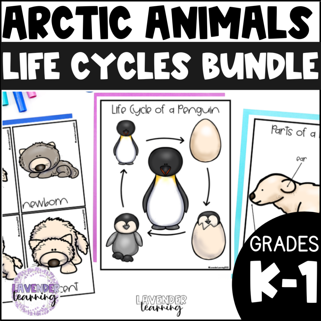 Arctic Animals Life Cycles Bundle - Penguin, Polar Bear, Harp Seal ...