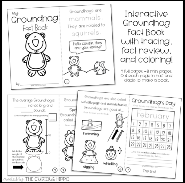 Groundhog Day Activities for Kindergarten | Made By Teachers