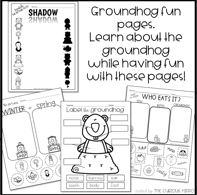 Groundhog Day Activities for Kindergarten | Made By Teachers