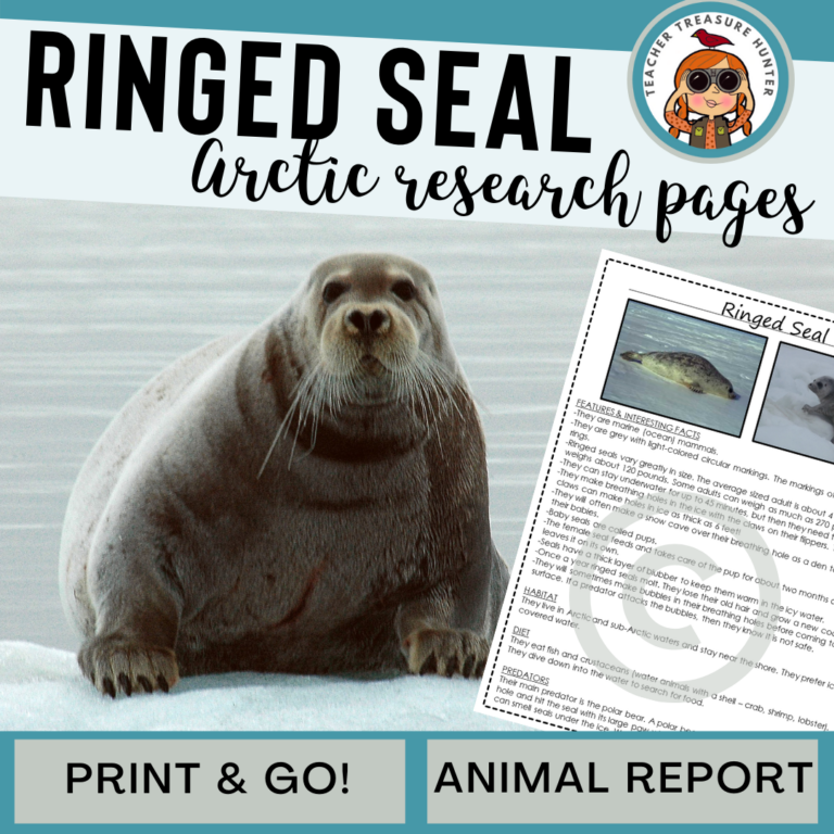 Ringed Seal Arctic Animal Research Page for learning about Arctic ...
