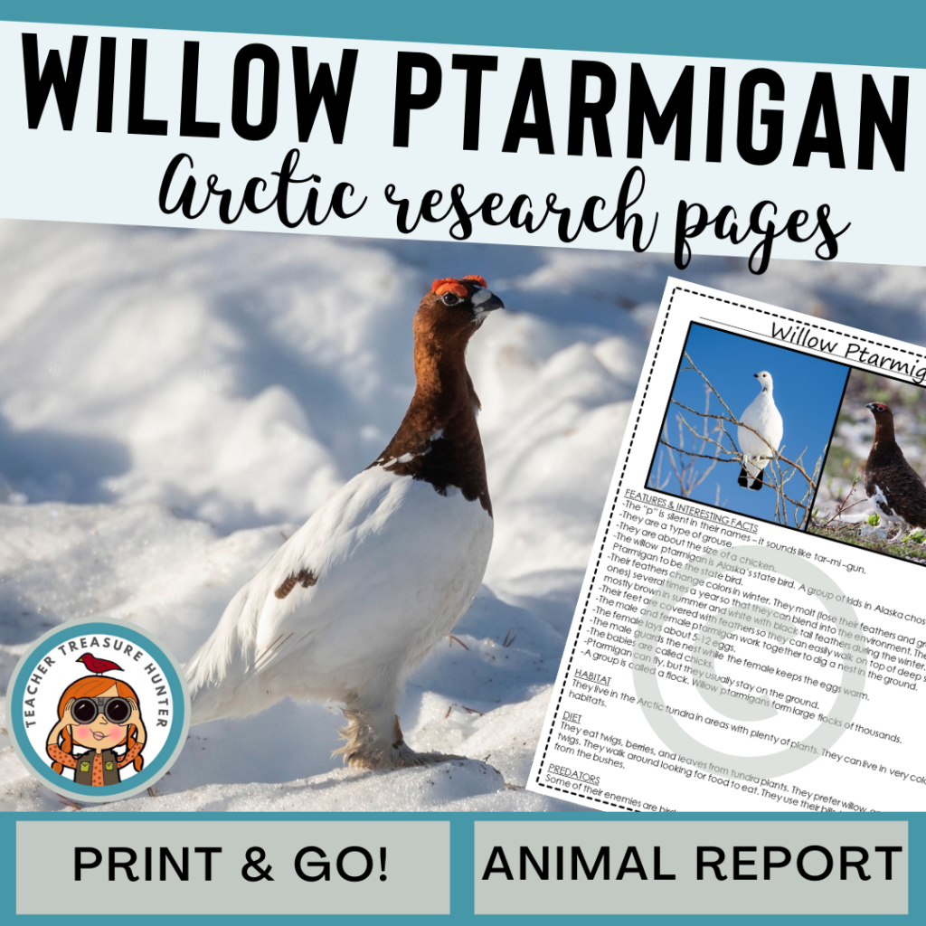 Willow Ptarmigan Arctic bird Research Page for writing Arctic animal ...