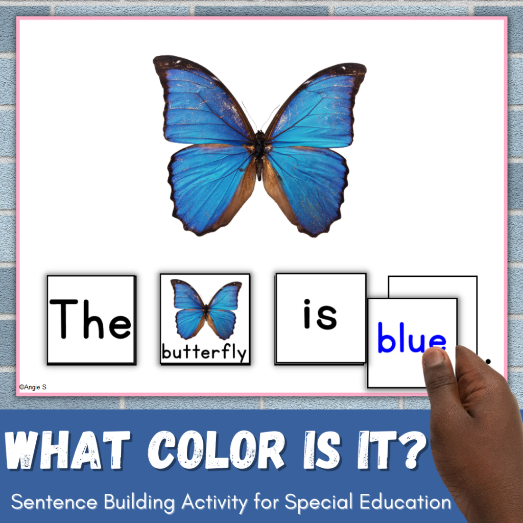 Sentence Building - What color is it? | Build a Sentence Activity for ...