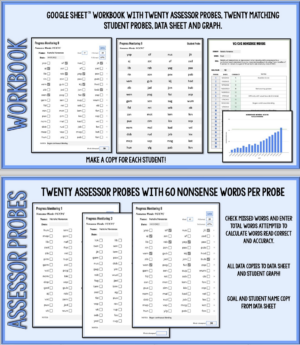 Nonsense Words: CVC Assessment & Progress Monitoring in Google Sheets ...