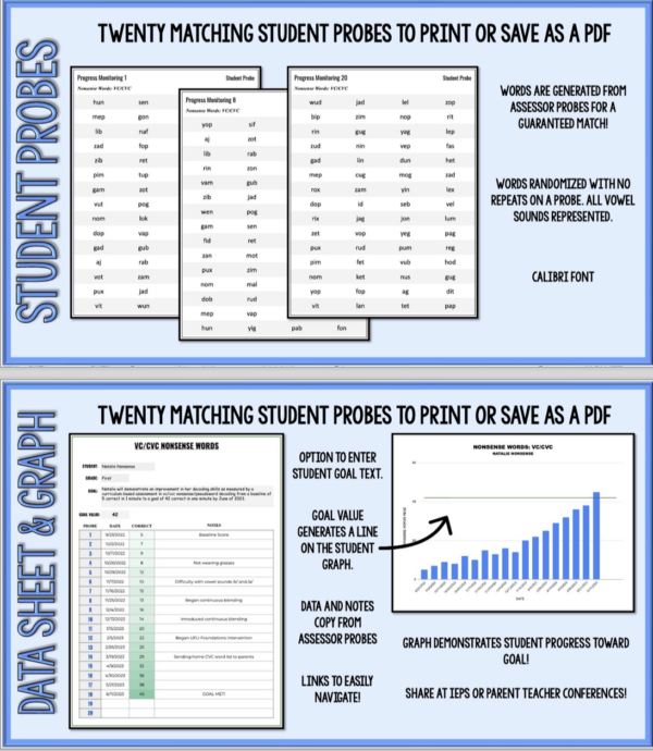 Nonsense Words: CVC Assessment & Progress Monitoring in Google Sheets ...