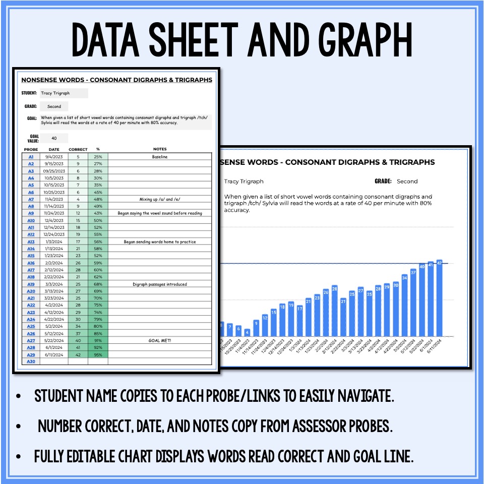 Nonsense Words: Digraphs - Assessment & Progress Monitoring in Google ...