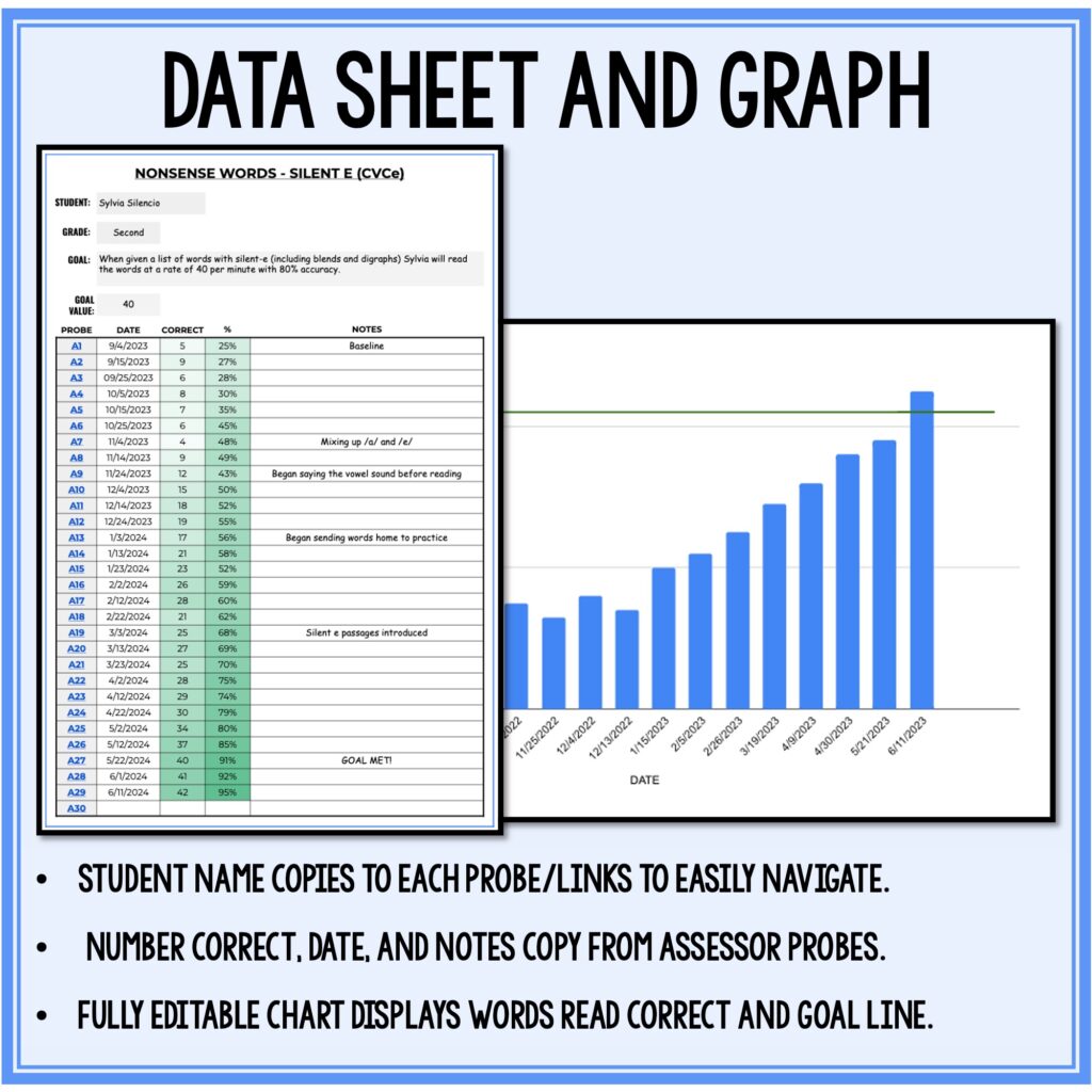 Nonsense Words: Silent E - Assessment & Progress Monitoring in Google ...