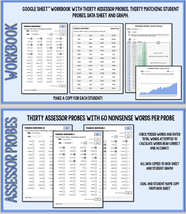 Nonsense Words: Silent E - Assessment & Progress Monitoring in Google ...