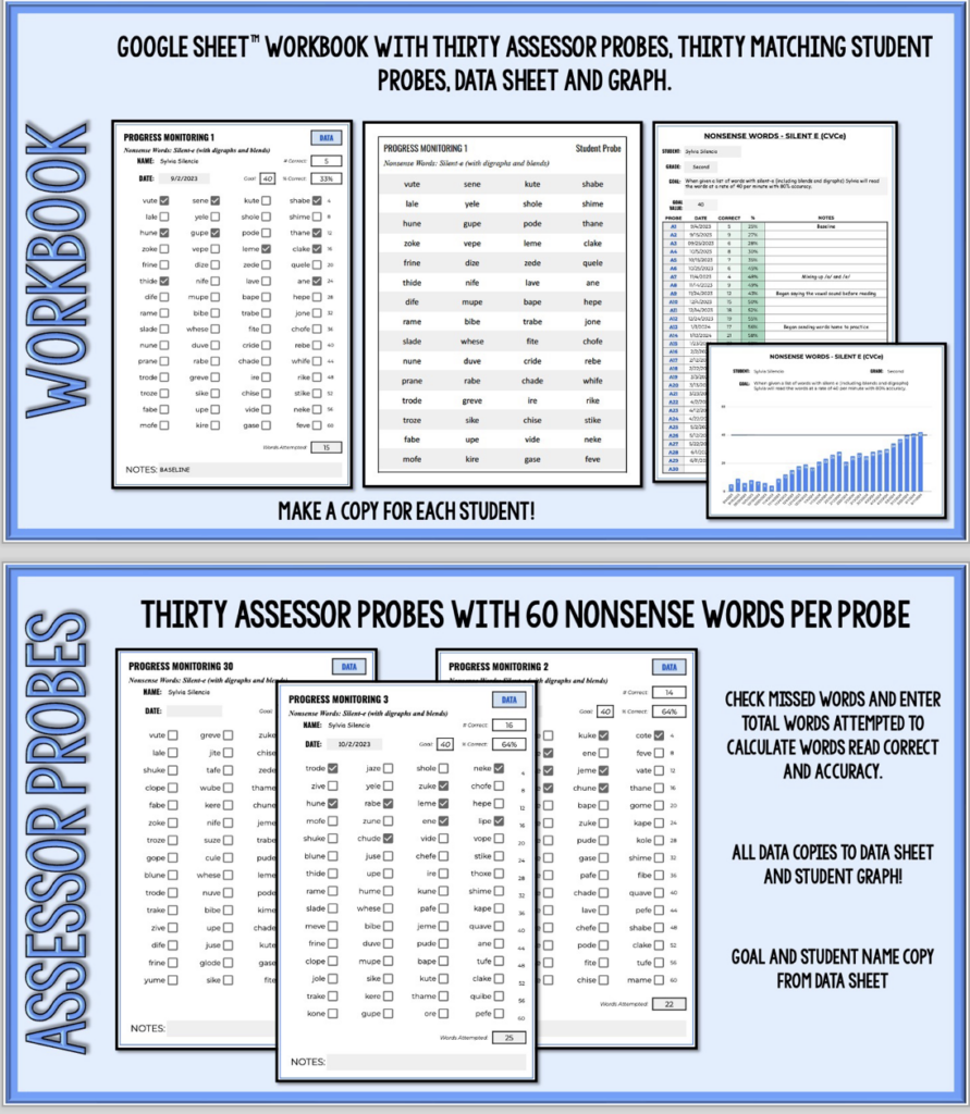 Nonsense Words: Silent E - Assessment & Progress Monitoring in Google ...