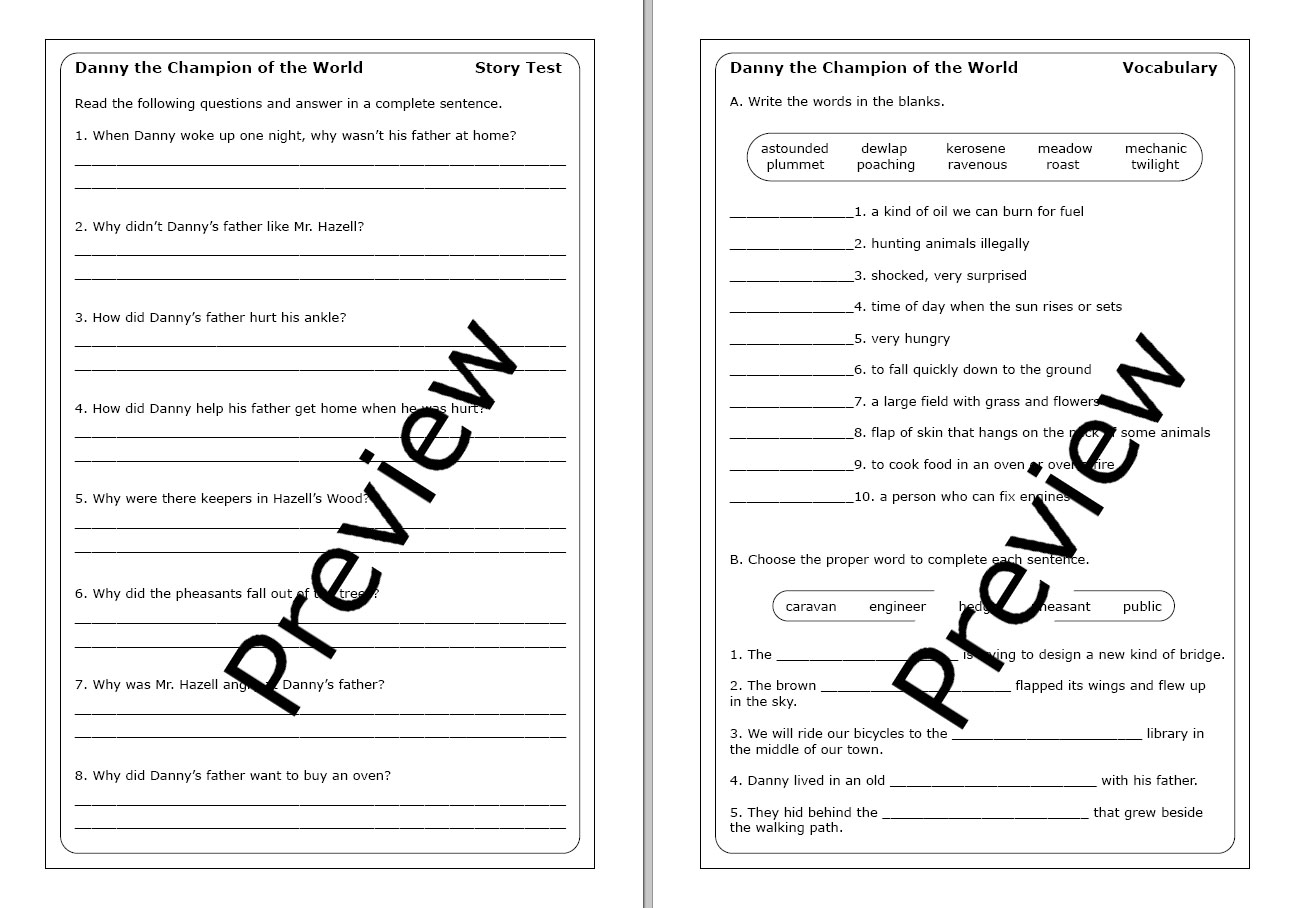 Roald Dahl "Danny the Champion of the World" worksheets | Made By Teachers