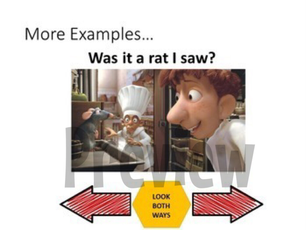 Palindromes PowerPoint | Made By Teachers Palindromes PowerPoint | Made By Teachers